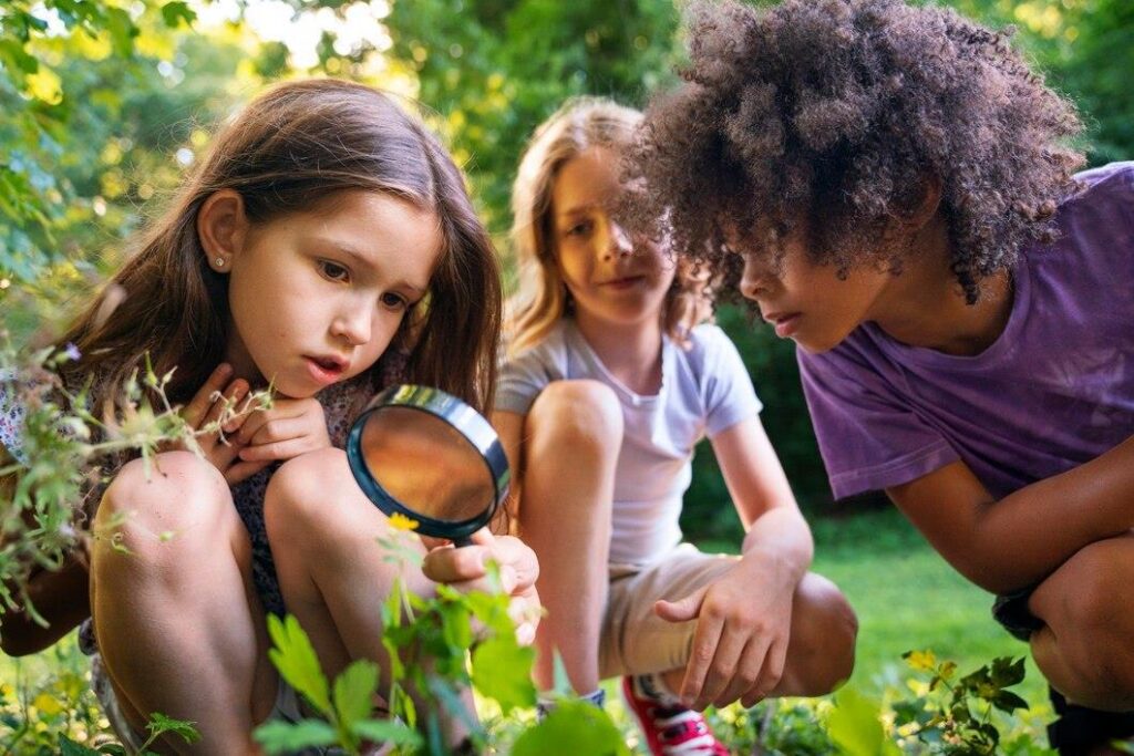 Outdoor Education for Preschoolers: Benefits Beyond the Classroom